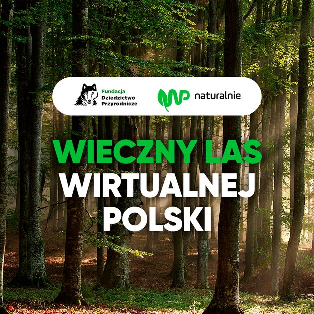 Wieczny Las Wirtualnej Polski na Podlasiu | Biuro prasowe - Wirtualna ...